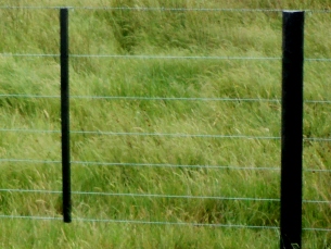 Plasmar Droppers - Plasmar